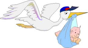 E' NATA LAVINIA BELLONI - LegnanoNews